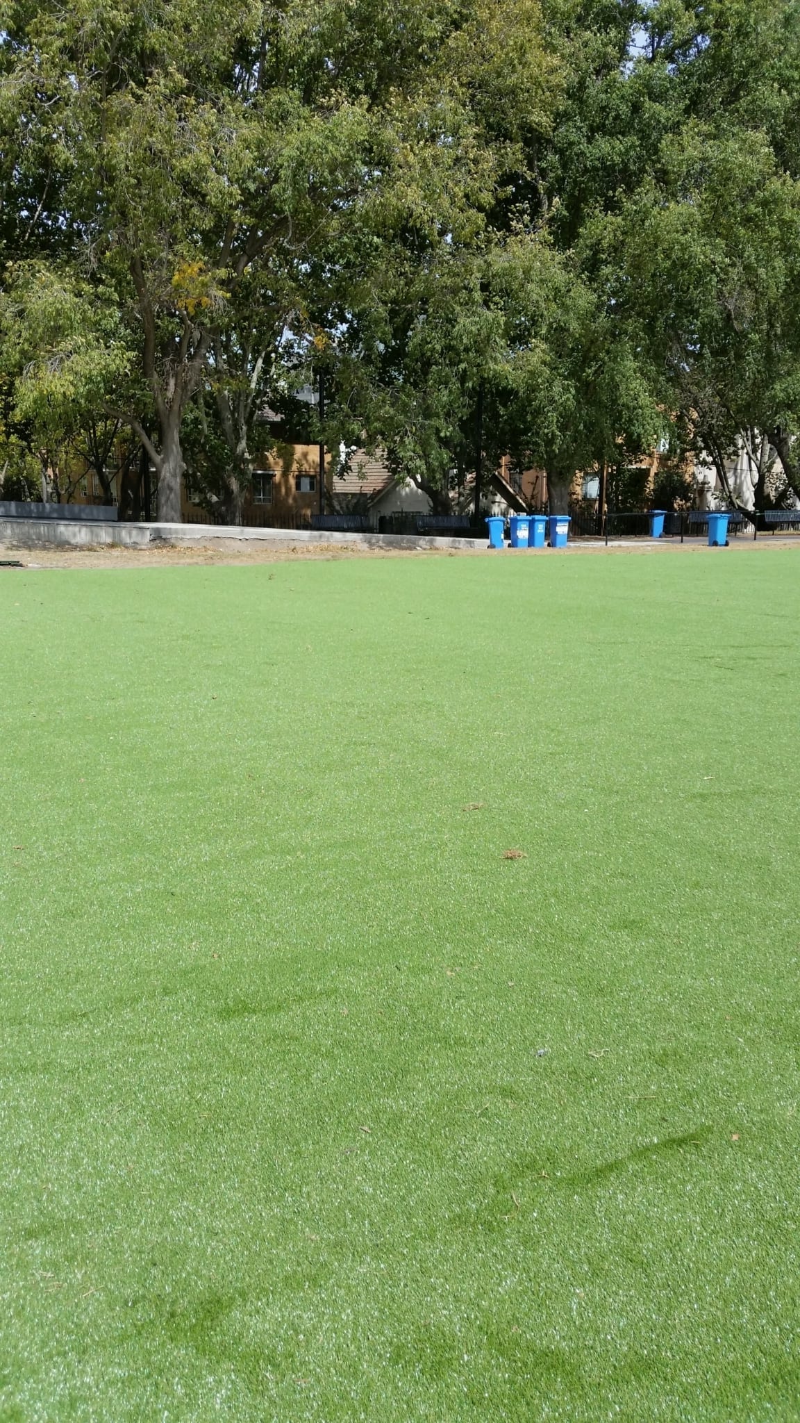 Synthetic Grass For Large Areas / Halls - Keeping it Green