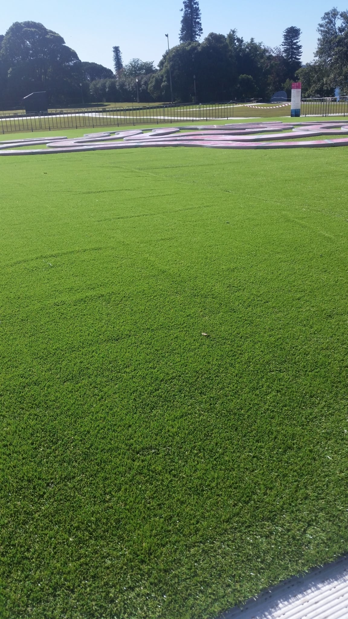 Synthetic Grass For Large Areas / Halls - Keeping it Green